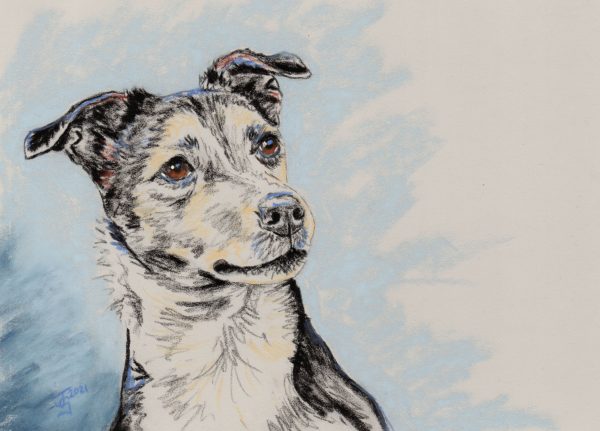 Jack Russell - Jo Garlick Art